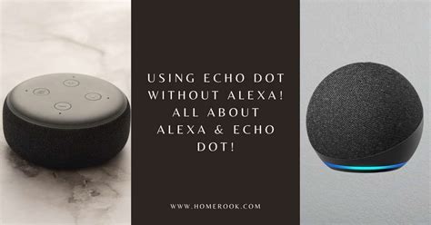 Using Echo Dot Without Alexa All About Alexa Echo Dot Home Rook