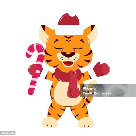 산타클로스 새해 모자 장갑 스카프를 두른 새끼 호랑이가 롤리팝을 들고 손으로 그림을 그립니다 12월 31일에 대한 스톡 벡터 아트 및 기타 이미지 Istock