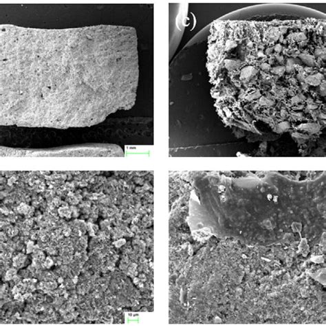 Observation By The Scanning Electron Microscope A β Tcp B C Ocp Download Scientific