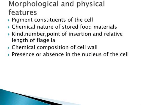 Classification Of Algae 123ppt