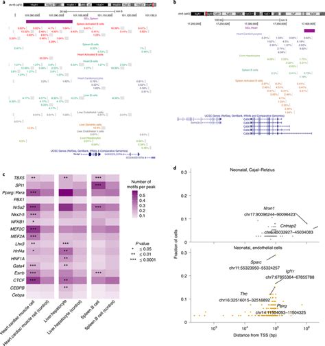 Determining Cell Type Specificity Of Distal Enhancers Using Rna Seq And
