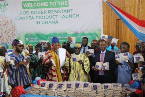 Ghana Releases First Gmo Crop For Commercial Cultivation Plan B 104 5 Fm