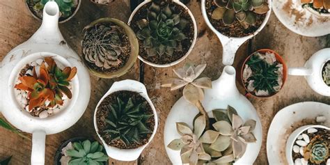 Logical And Physical Css Properties Equivalents 30 Seconds Of Code