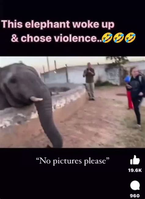 Justice Udehegbunam On Linkedin Lol 😂😂