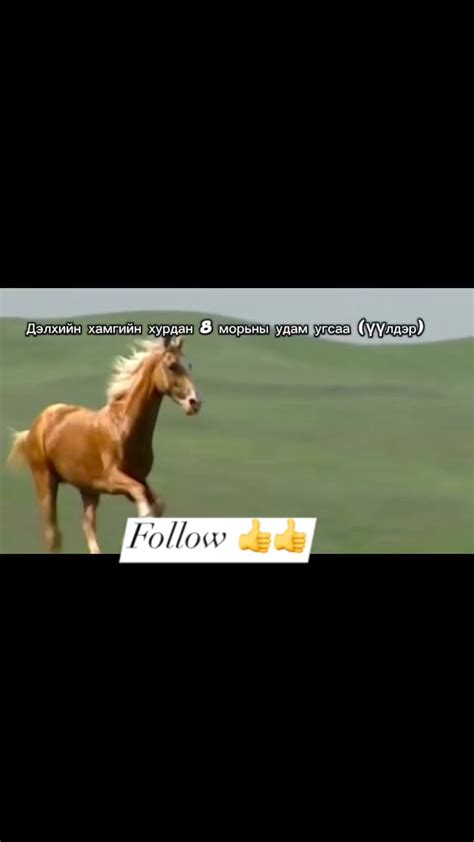 🏇🏇Уралдаанч хүүхдийн хөнгөн бат бөх стандарт чанарын шаардлага хангасан хамгаалалтын хувцас