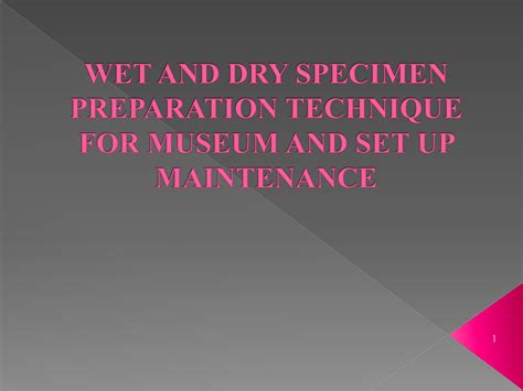 Solution Wet And Dry Specimen Preparation Technique For Museum Group 1