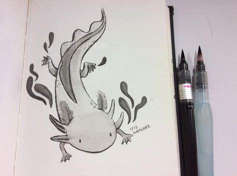 Ajolote Dibujo Realista
