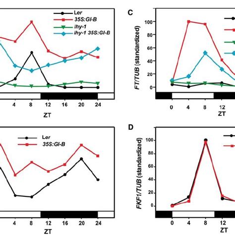The Flowering Times Of Lhy 11 Cca1 1 Lhy 1 And 35s Gi Plants