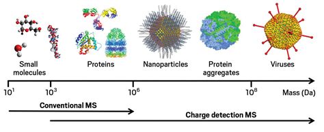 Charge Detection Mass Spectrometry Measures Molecular Structures Too Big For Regular Mass Spec