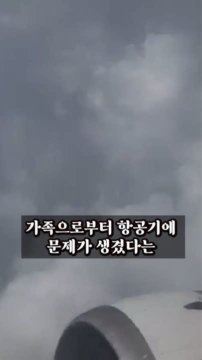 탑승객의 문자 새가 날개 껴 착륙 못해 문자 뒤 연락두절제주항공 Youtube