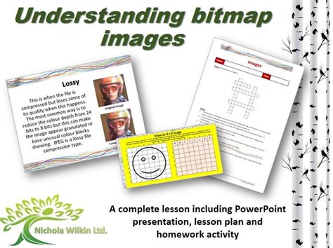 Understanding Bitmap Images GCSE Computer Science KS Computing Computer Science Projects