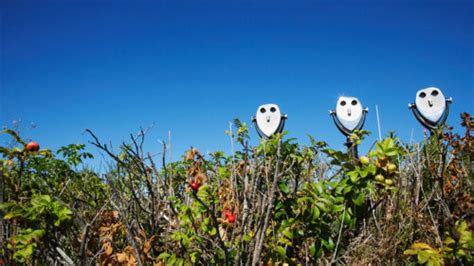 How To Choose The Right Forecasting Technique