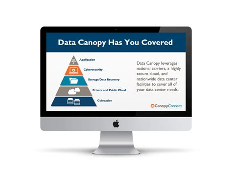 Data Canopy Dulin Design A Branding Design Studio In Snoqualmie WA