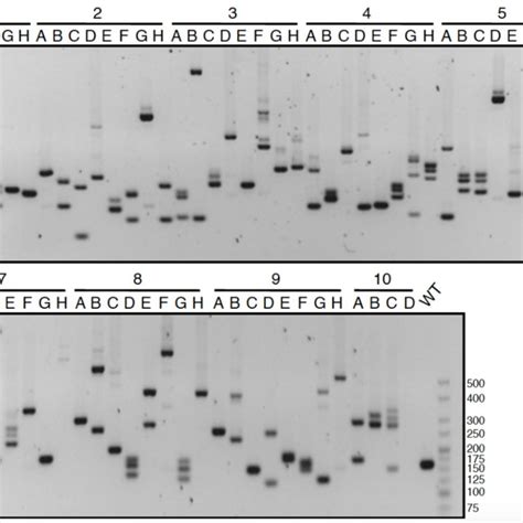 Figure S2 A 3d Model For Motorized Optical Filter Wheel Download