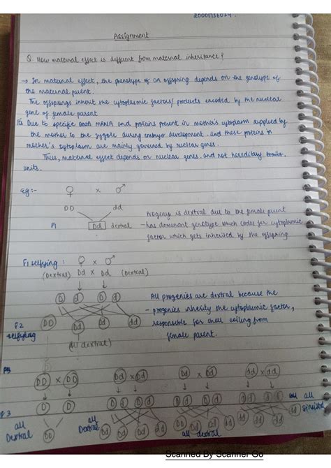 SOLUTION Maternal Effect And Maternal Inheritance Studypool