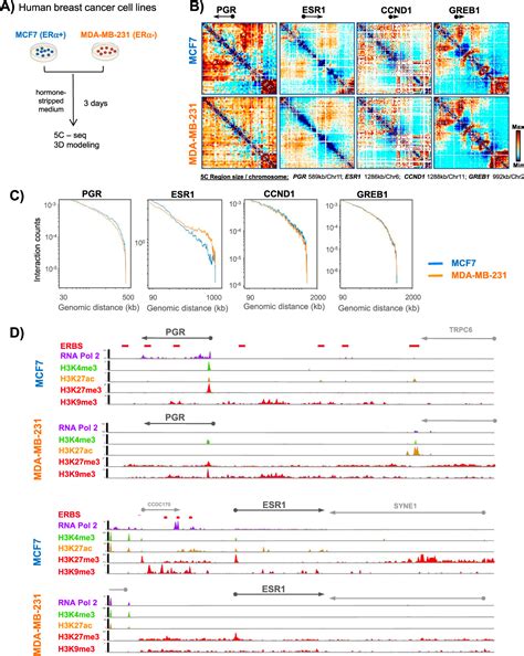 Figure 1 From Enhancer Driven 3d Chromatin Domain Folding Modulates Transcription In Human