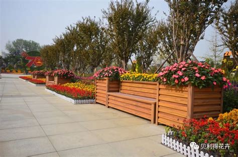 花台和花坛的区别花坛里的花大山谷图库