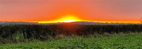 How To Enable Checkbox Lists For Non Hierarchical Taxonomies In Wordpress ·