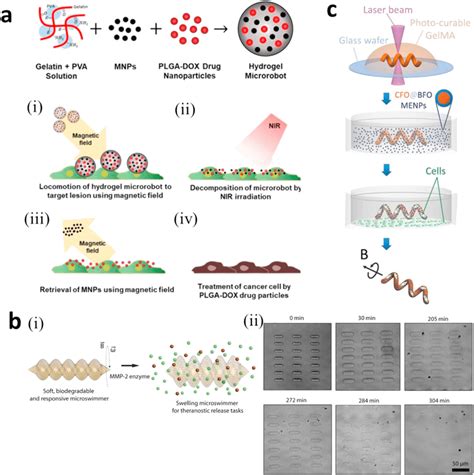 Several Hydrogel Based Magnetic Smallscale Robots A Structure Of Download Scientific Diagram