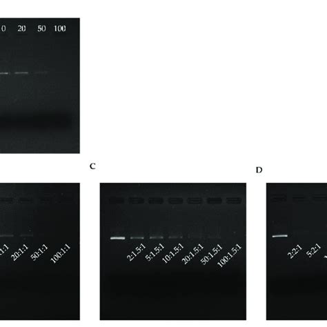 Scheme 1 Schematic Representation Of The Synthesis Of Multifunctional