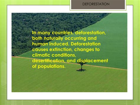 Deforestation 6 B Pallares Ppt