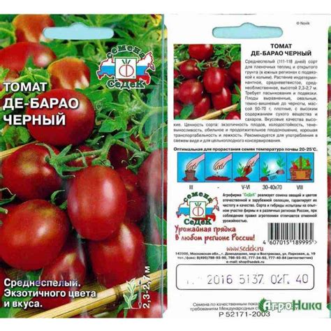 Помидоры Де Барао: характеристика и описание сорта, урожайность, отзывы ...