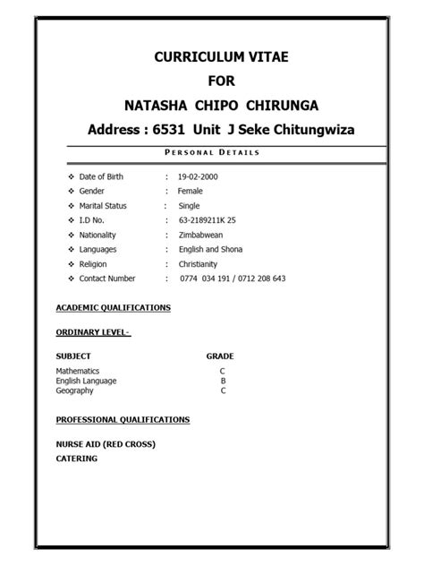 Chipo Chirunga Cv 041844 Pdf