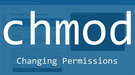 Примеры команд Chmod в Linux Примеры команд Chmod в Linux