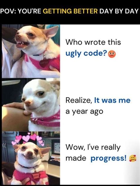 Codingjourney Softwaredevelopment Growthmindset Programming