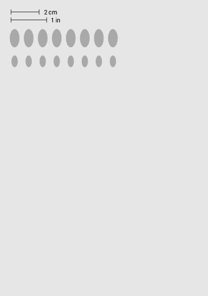 Free 3d File Weebl And Bob 🥚・design To Download And 3d Print・cults