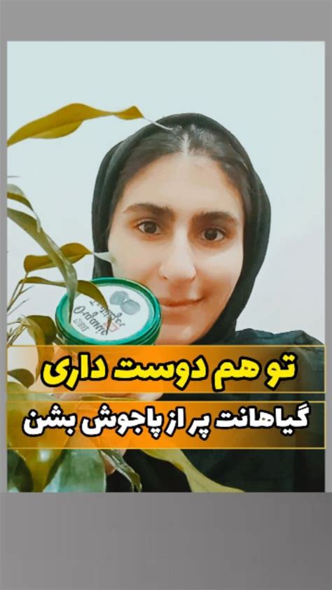 ‎قرص کودکود آپارتمانیکود گل کود باغچه‎ ‎گیاه پتوس هم خیلی متنوع در