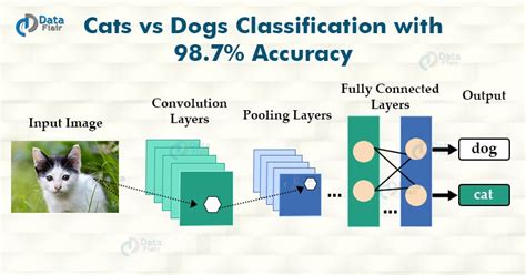 Training Neural Networks For Binary Classification