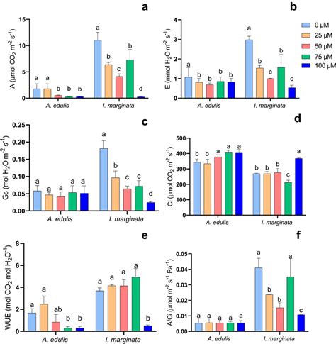 Mean Values Recorded For Net Co2 Assimilation Rate A A