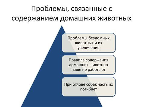 Мы в ответе за тех, кого приручили - презентация онлайн