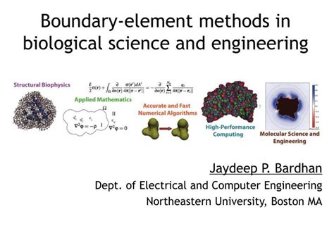 ppt boundary element methods in biological science and engineering