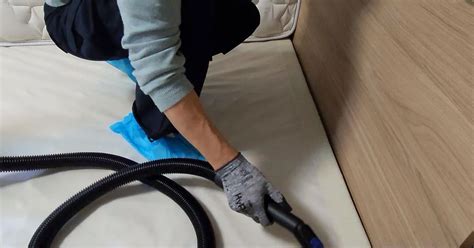 매트리스 건식청소2개침구류진드기 제거청소 홈케어 청소전문가 키다리아저씨 숨고 숨은고수 매트리스 건식청소2개침구류진드기 제거청소 홈케어 청소전문가 키다리아저씨 숨고 숨은고수