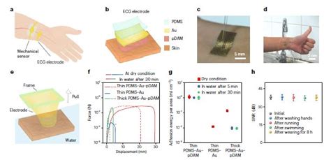 Nus Shine Publications