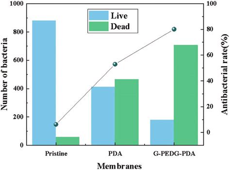 Bacterial Count Of E Coli Counted By Imagej And Relative Download Scientific Diagram