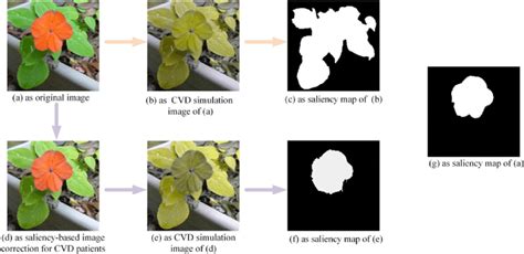 Saliency Detection Results After Cvd Simulation For A Standard Image Download Scientific