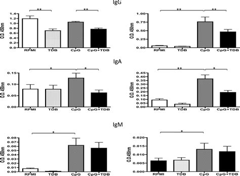 Figure 1 From Mincle And Human B Cell Function Semantic Scholar
