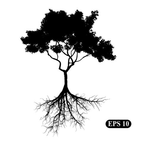 Tree Silhouette Stock Vector Image By Cla