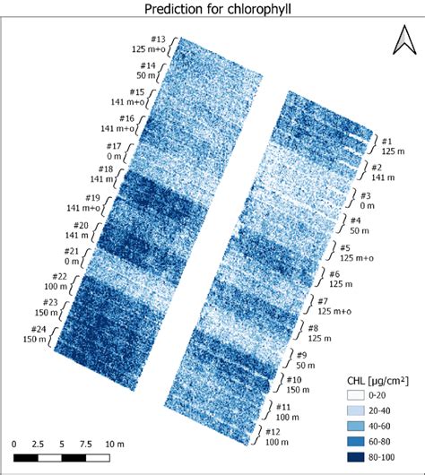 Spatial Prediction For Chl Based On Plsr Model Download Scientific Diagram