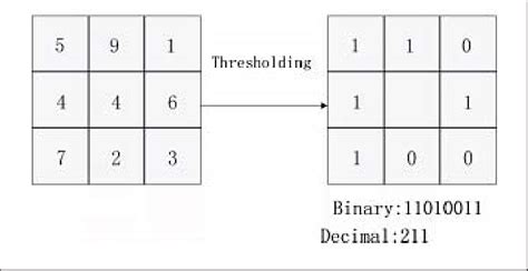 Shape Feature Extraction Download Scientific Diagram