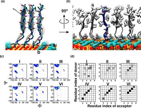 Self Assembling Peptide Biomaterials Insights From Spontaneous And