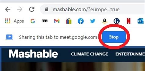 How To Share Your Screen On Google Meet Mashable
