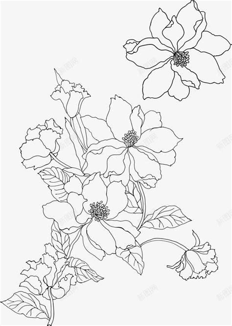 简笔花卉免抠素材免费下载 素材7yikkvkav 新图网 Blumen Blüten Malen