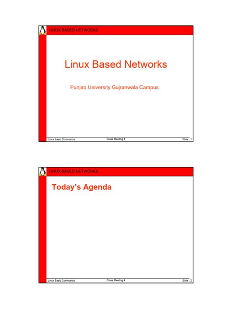 Lec 09 Linux Basic Commands Pdf Computer File Filename
