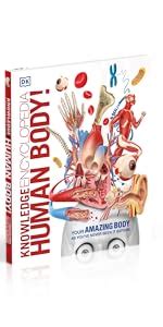 Knowledge Encyclopedia Human Body Knowledge Encyclopedias