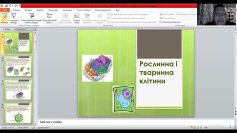 Рослинна і тваринна клітини Youtube