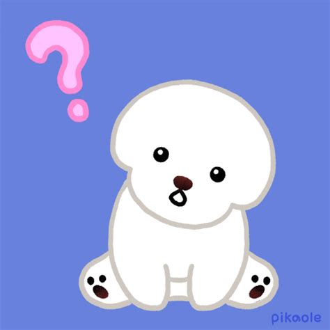 Question Mark What  By Pikaole Find And Share On Giphy Rainbow